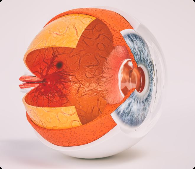 Procedures - AZ Eye Center